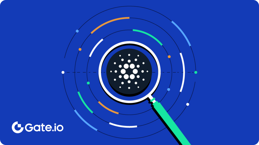 Cardano Price Today (USD) | ADA Price, Charts & News | Gate.tr