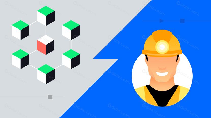 Bitcoin Nodes Vs Miners Key Differences Explained 