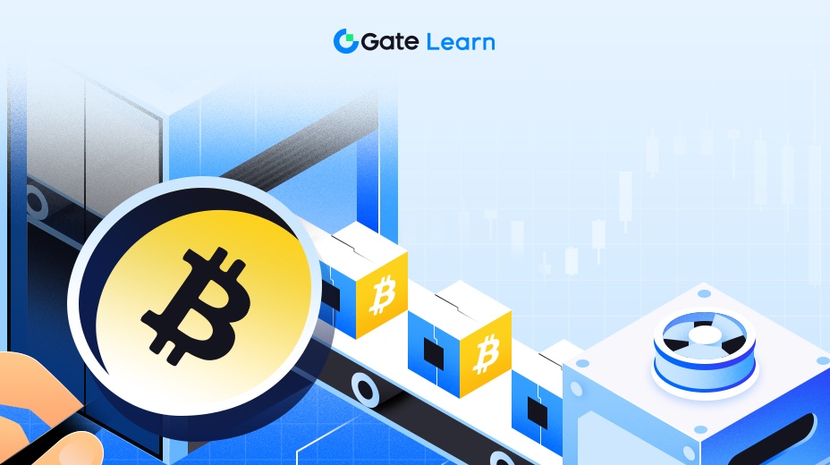 Introduction to Wrapped Tokens